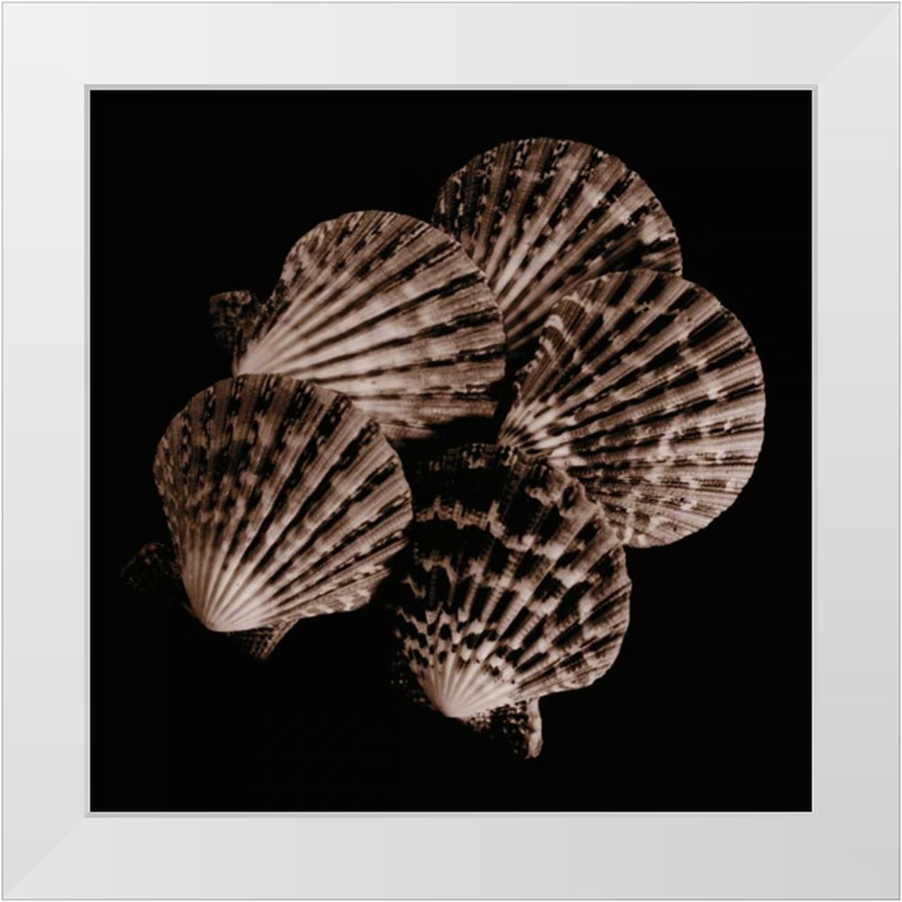Faragher, Michael 20x20 White Modern Wood Framed Museum Art Print ...