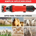 Hinzonek 900W Electric Sheep Shears, Professional Sheep Grooming ...