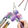 12/18/24 Color Drawing Pencils Easy to Color Metallic Colored Pencil ...