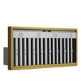 48 in. 800 CFM Wall Mounted Range Hood in Stainless Steel with Gold ...