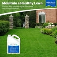 ZeroTol HC Algaecide, Bactericide, Fungicide, 128 fl oz, Broad-Spectrum ...