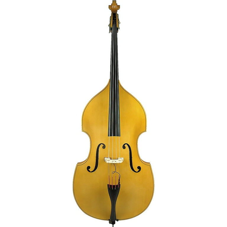 Electric Upright Bass