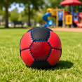 5PCS Bean Bag Juggling Ball, 2.36in Soft Non Bouncing Coordination ...