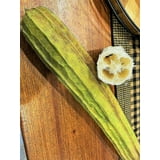 TomorrowSeeds - Buab Moom Angled Luffa Gourd Seeds - 30+ Count Packet ...