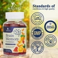 Nature's Nutrition Brain Supplements, Memory and Focus Gummies, Phosphatidylserine, B6, B12, 60 ...