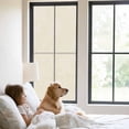 Cream Privacy Window Film, Decorative Frosted Glass Window Film, Modern ...