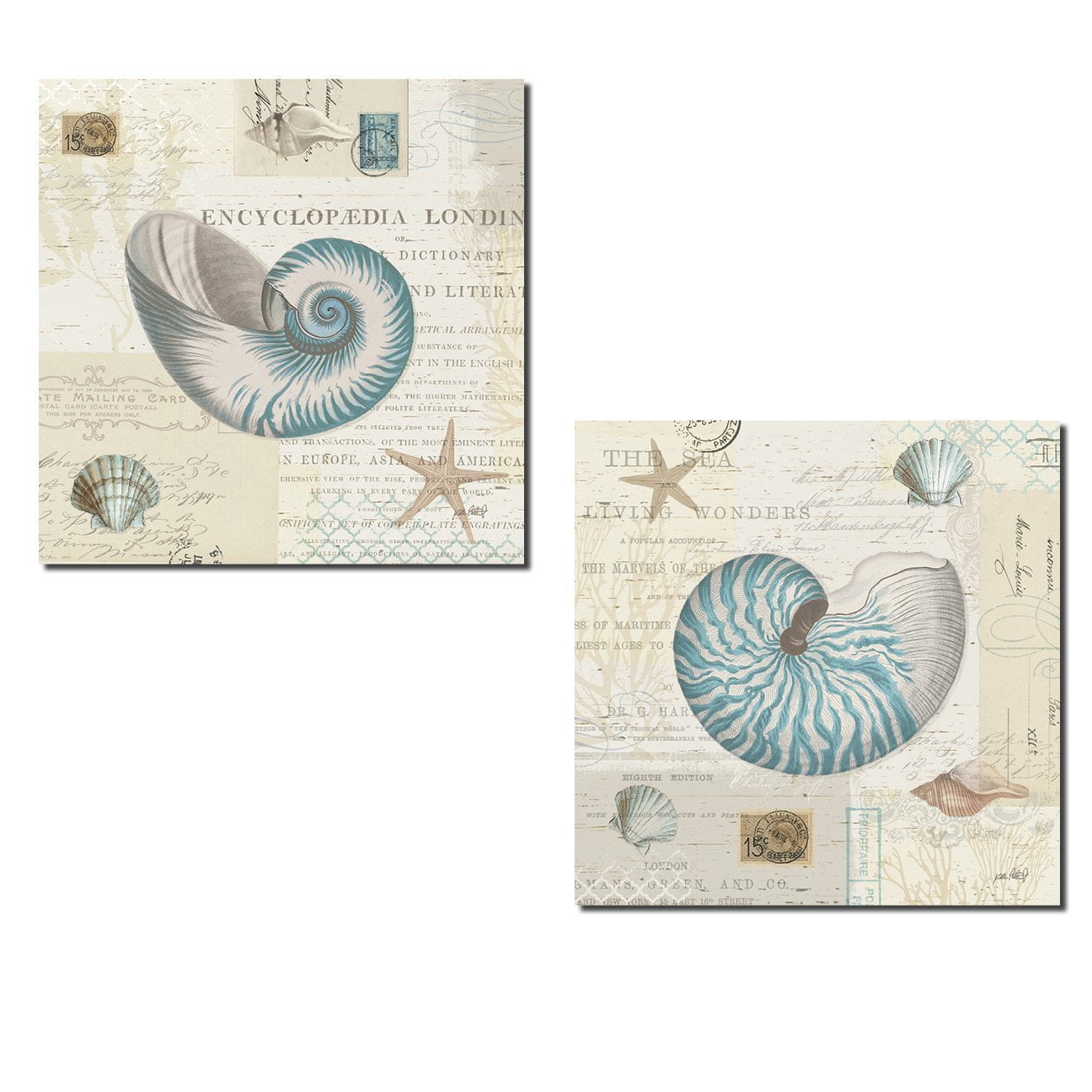 Gango Home Decor Classic Seashell Coastal Collage Wall Art ; Two Blue ...