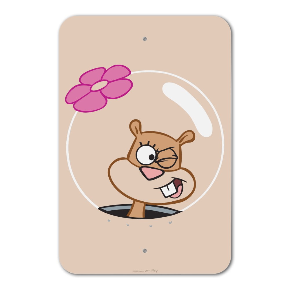 SpongeBob Sandy Wink Face Home Business Office Sign - Walmart.com