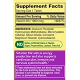 Spring Valley Natural Timed Release B12 Vitamin, 100 mcg, 300 Count ...
