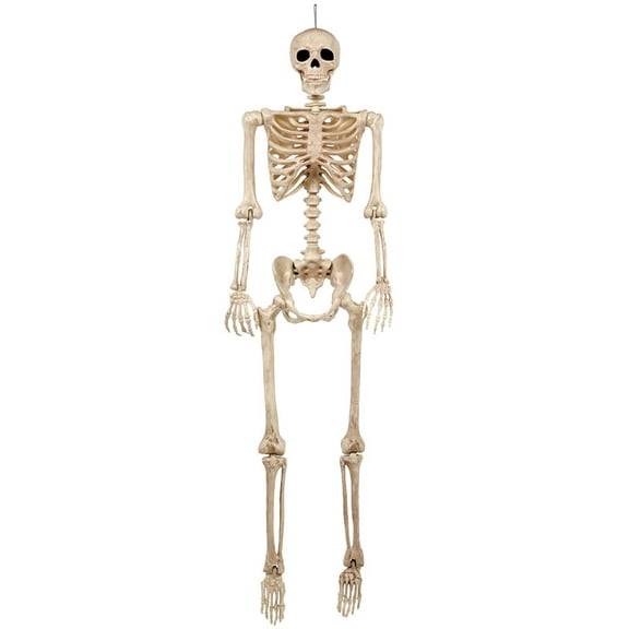 5 ft. Life Size Posable Skeleton Halloween Decoration - Walmart.com