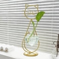 Cat Shaped Wrought Iron Flower Vase, Hydroponic Glass Planter and Home ...