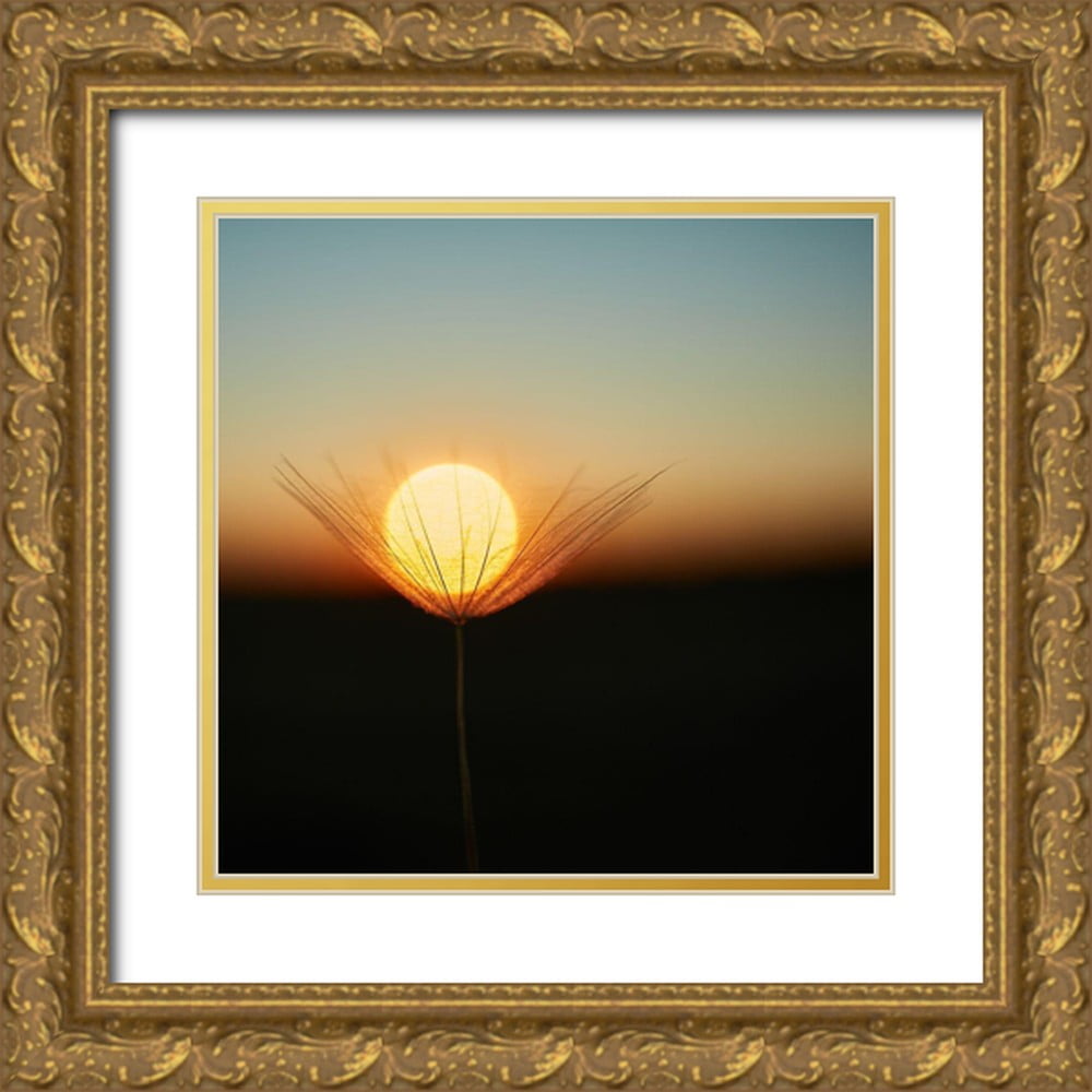 Riha, Milan 15x15 Gold Ornate Wood Framed with Double Matting Museum ...