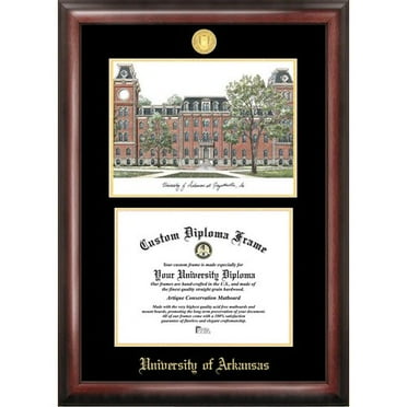 University of Texas, Austin 11" x 14" Gold Embossed Diploma Frame with ...