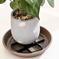 20pcs Multiple Size Breathable Plant Saucers Durability Garden Use ...