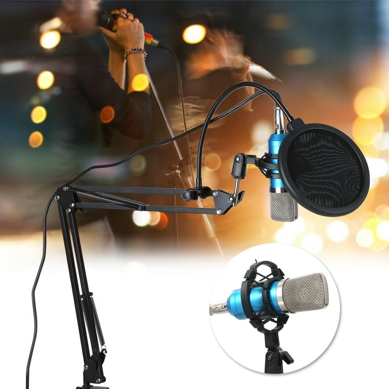 Gold Recording Studio Microphone