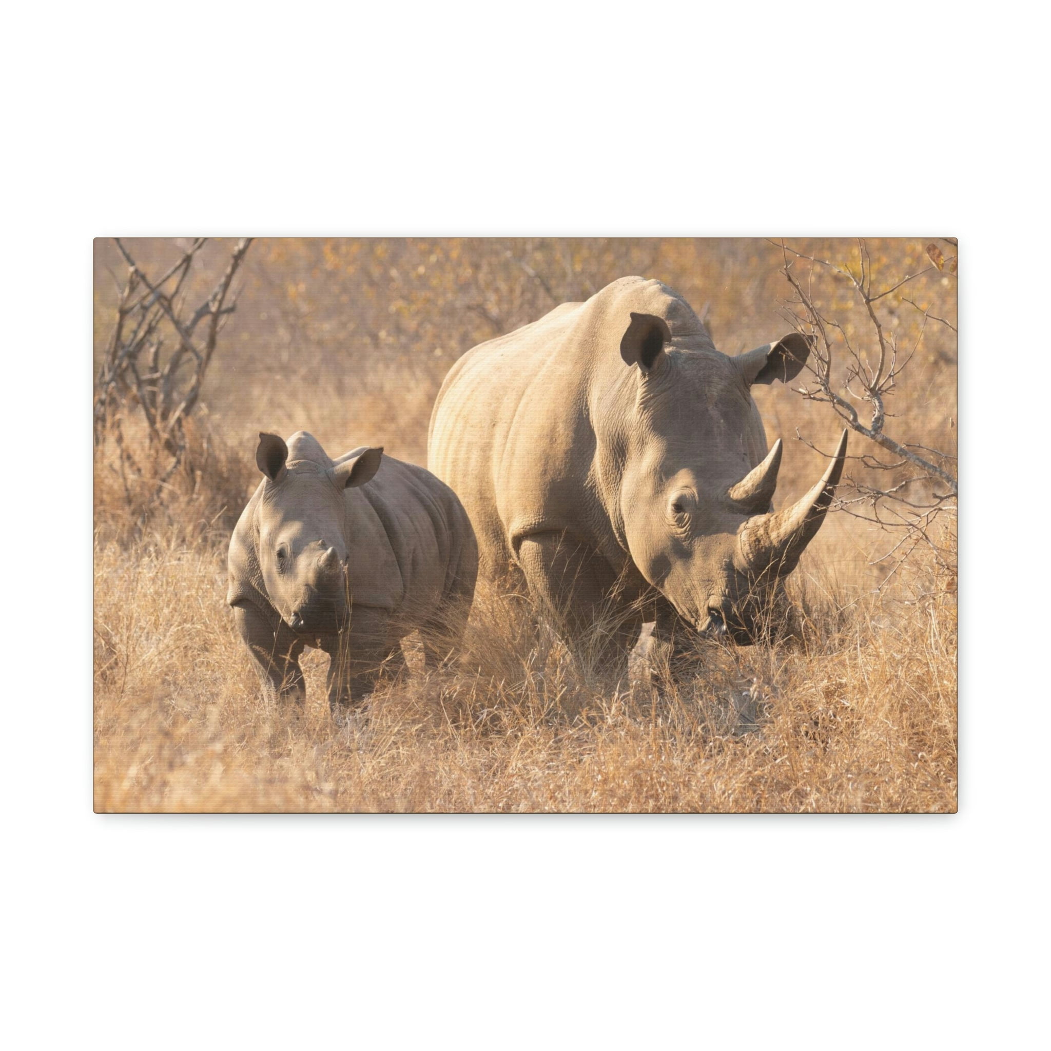 White Rhino Hunting White Rhino on Hunt Print Animal Wall Art Wildlife ...