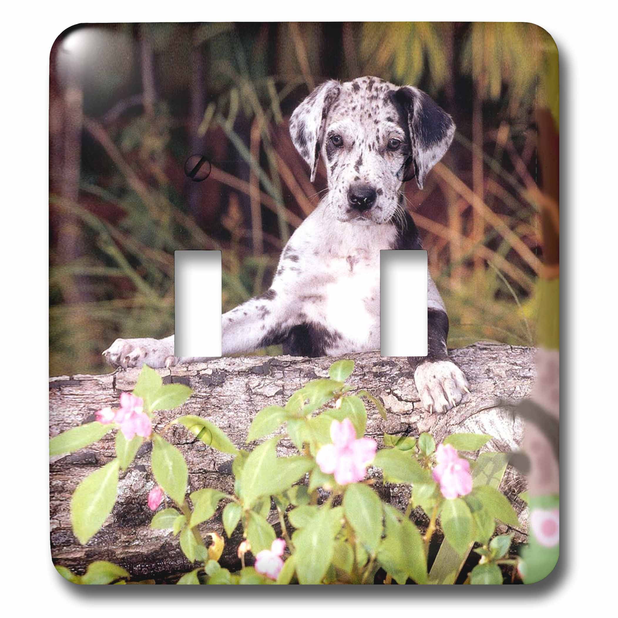 Great Dane Puppy double toggle switch lsp-246-2 - Walmart.com