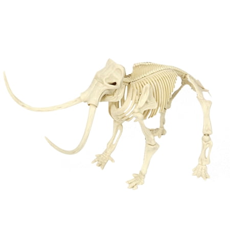Dinosaur Dig Kit Practical Dinosaur Skeleton Toy Figures Dino Bone ...