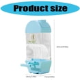 Automatic Bird Feeder Clear Designs Bird Cage Feeder Container for ...
