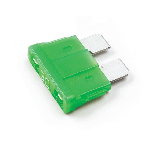 30 Amp Automotive Fuses