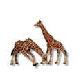 ZAGA Toys Graceful Giraffe Pair Figurine Set - Walmart.com