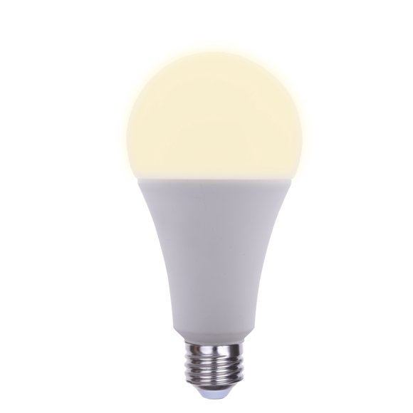 15 Watt Led Light Bulb
