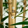 Nearly Natural 10ft Artificial Bamboo Tree with Real Trunks for Indoor ...