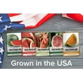 Watermelon Seed Assortment, 5 Varieties, Heirloom Non-GMO - Walmart.com