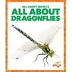 The Jazz Fly: Starring the Jazz Bugs [With CD] (Hardcover) - Walmart.com