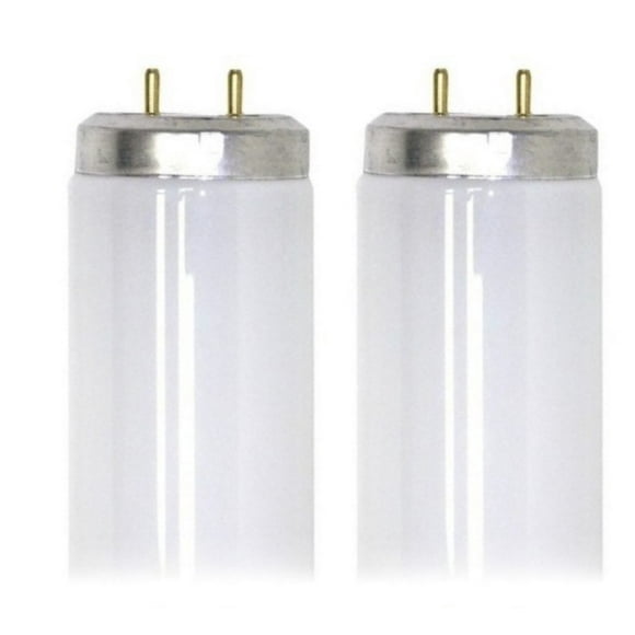 T8 Fluorescent Light Bulbs