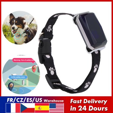 Dogs Cats Pet Bell Tracker GPS Locator Accurate Positioning Collar Gold - Walmart.com