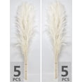 10 Stems 46" inch White Pampas Grass Decor Tall, Large Pompas Grass ...