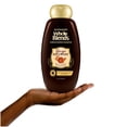 Garnier Whole Blends Ginger Recovery Strengthening Shampoo, 22 fl oz ...