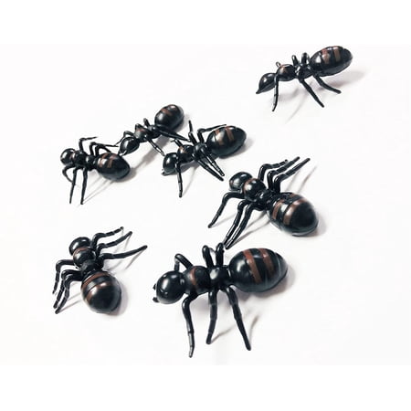 Plastic Fake Roach Pranks Plastic Cockroaches Gag 36pcs/Pack | Walmart ...