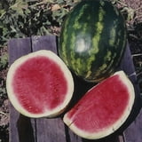 Watermelon Garden Seeds - Calsweet - 1 Oz - Non-GMO, Vegetable ...
