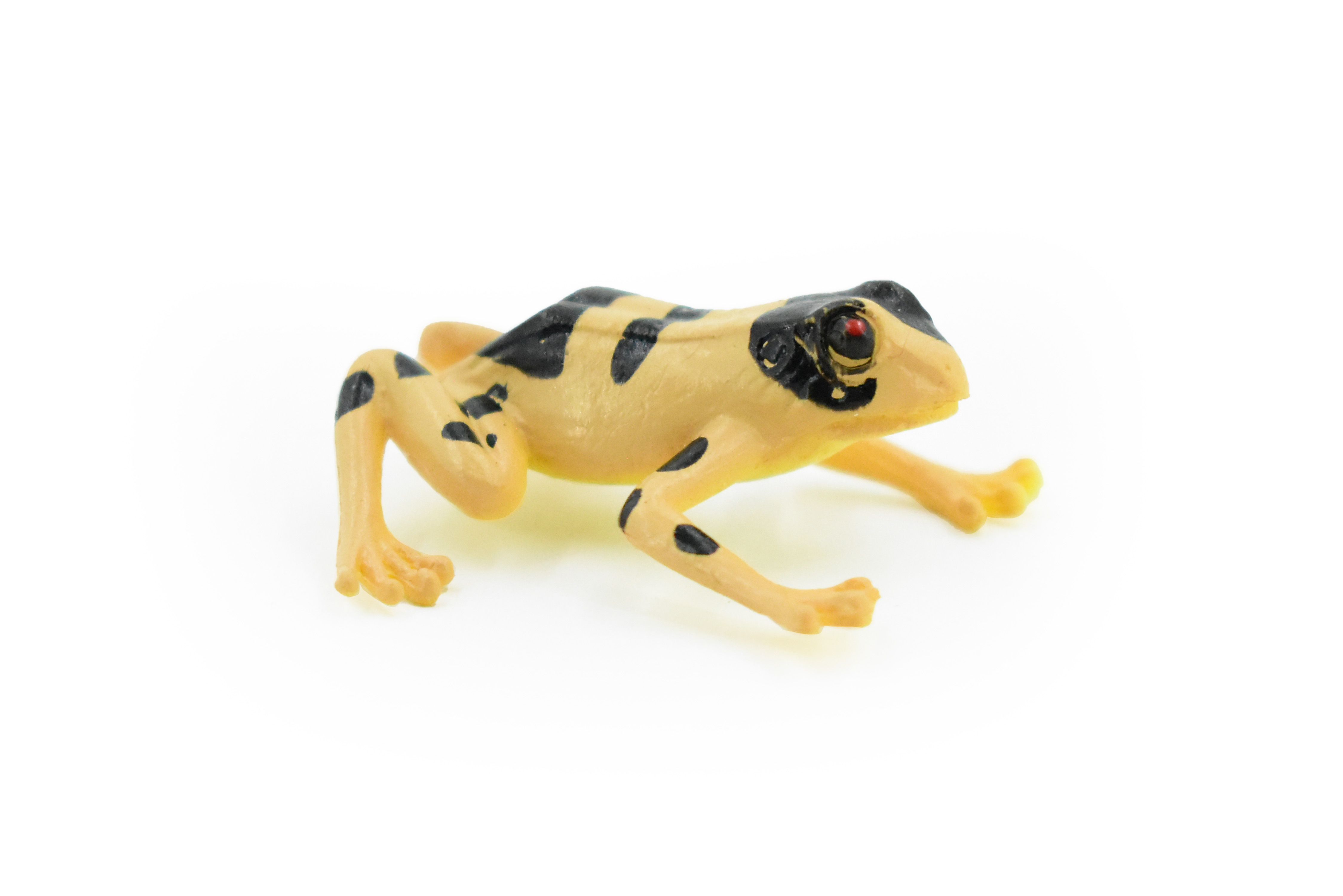 Frog, Brown & Black Plastic Toy Realistic Rainforest Figure Model ...