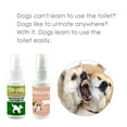 Dog Stay Away - Safe Dog Repellent Spray for Peeing - Achieve Effective ...
