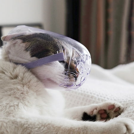 Cat Muzzle Set Anti-biting Breathable Plastic Pet Muzzle Pet ...