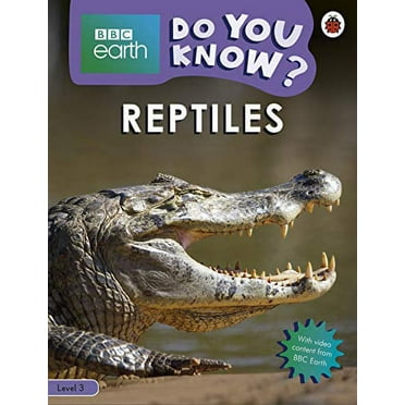 Real-Life Dragons: Komodo Dragons (Paperback) - Walmart.com