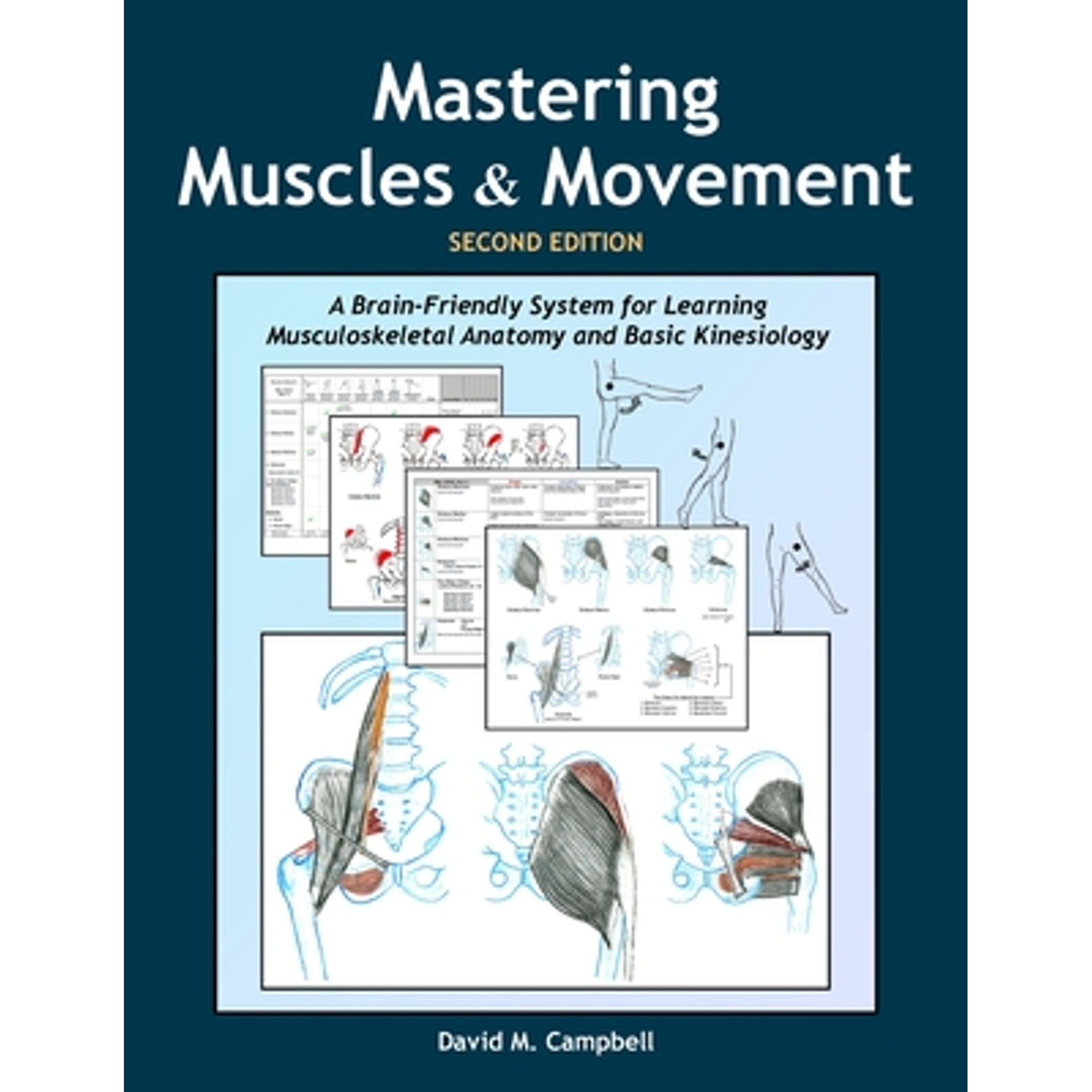 Pre-Owned Mastering Muscles and Movement: A Brain-Friendly System for ...