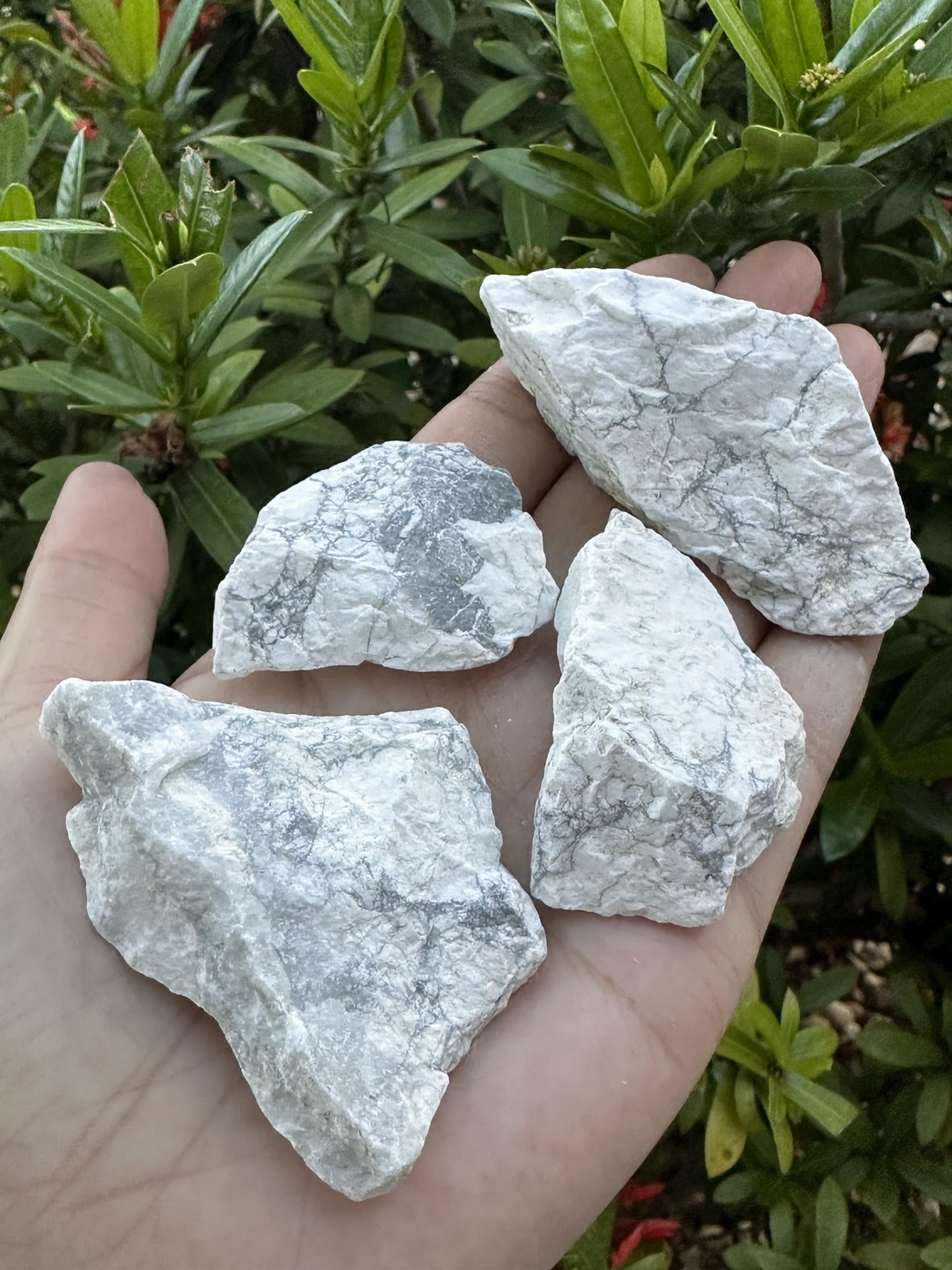 5 LB Lot Raw White Howlite Crystals, Natural White Australia | Ubuy