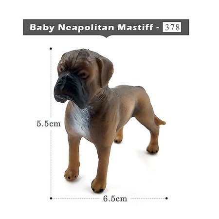 Komodo Dragon Wolf Dog Cat Sloth Rabbit Lizard Parrot Cormorant Fox/41 ...