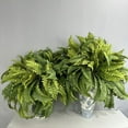 Artificial Boston Ferns, Artificial Plants Outdoor Greenery Stems for ...