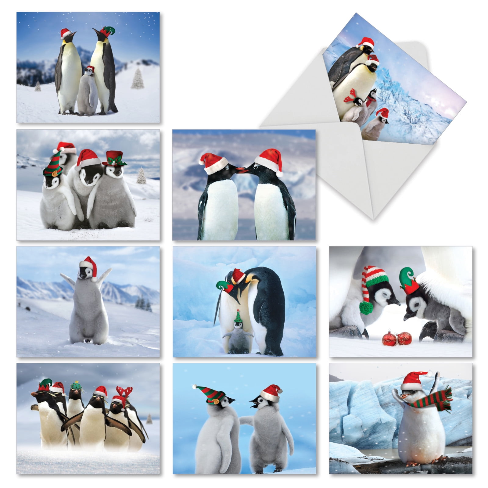 M2951XSB PENGUINS AND GREETINGS' 10 Assorted Merry Christmas Cards ...