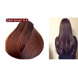 Natural Fast Coloring Argan Oil Shampoo/Dye for Men & Women. Speedy ...