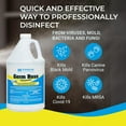 Kinzua Environmental Germ Boss Disinfectant Cleaner & Deodorizer 1 Gal ...