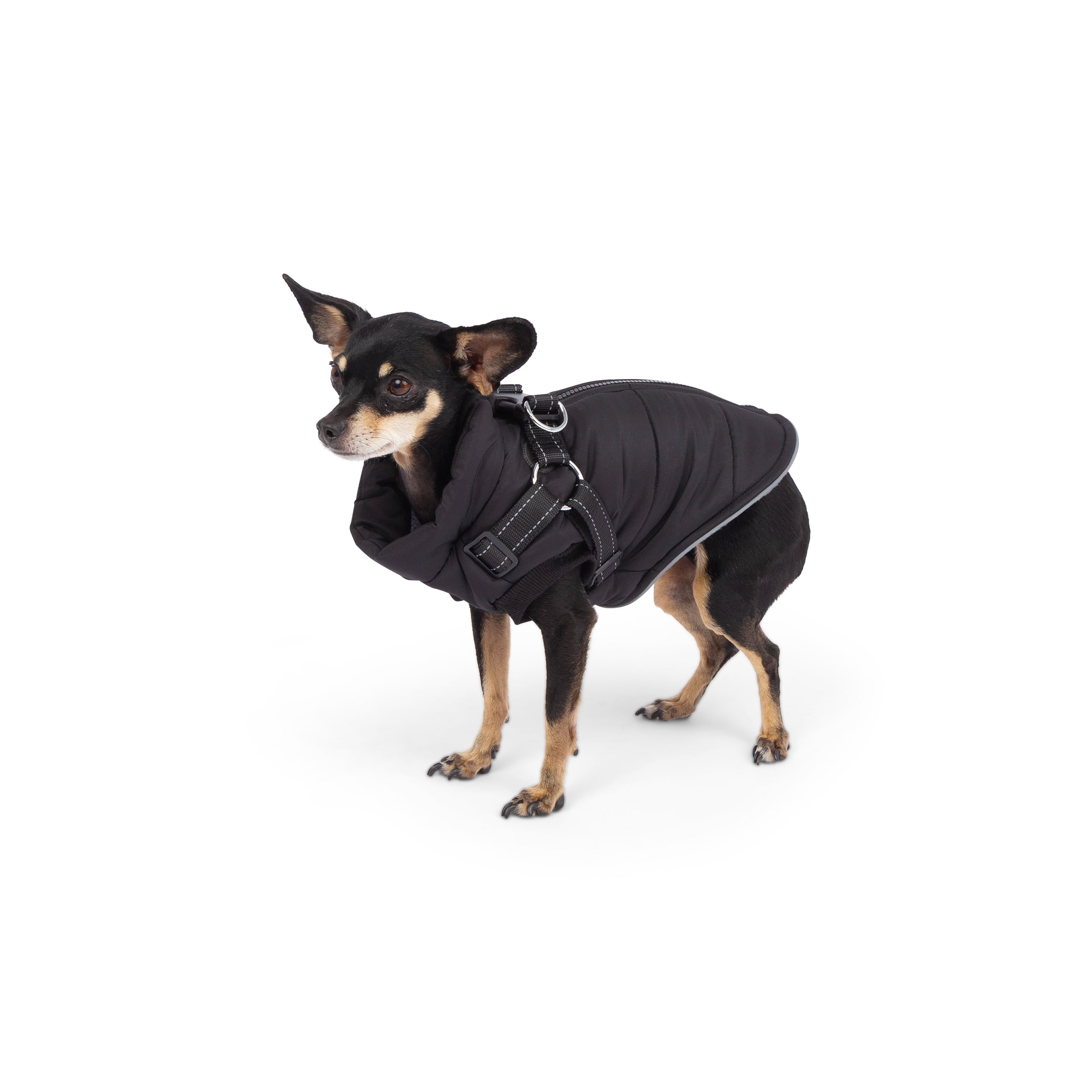 One Paw, Light Quilted Dog Vest with Harness, Black, Light Quilted ...