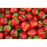 Fresh Strawberries, 1 lb Container - Walmart.com