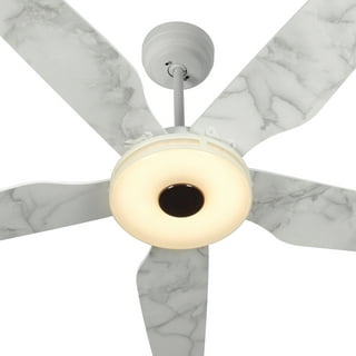 Texas Star Ceiling Fan Light Kits | Shelly Lighting