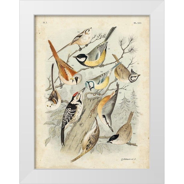 Lubbert, G. 19x24 White Modern Wood Framed Museum Art Print Titled ...
